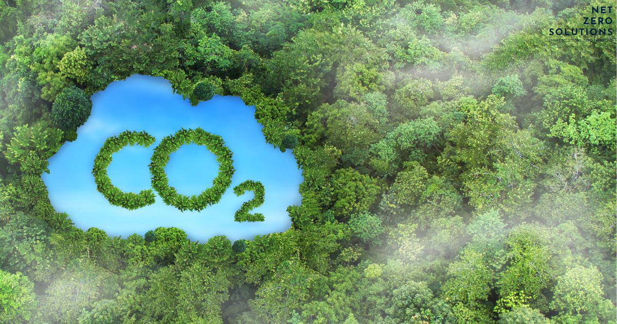 Cơ chế Phát triển Sạch CDM: Nhìn lại Di sản & Bài học từ Kỷ nguyên Kyoto - Net Zero Solutions ...